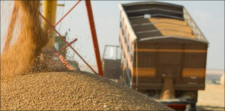 Over 90 trailers carrying wheat cargo reach Karachi