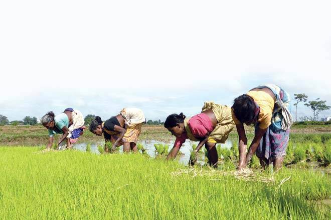 Small agri warehouses must be on board for 100% geo-tagging
