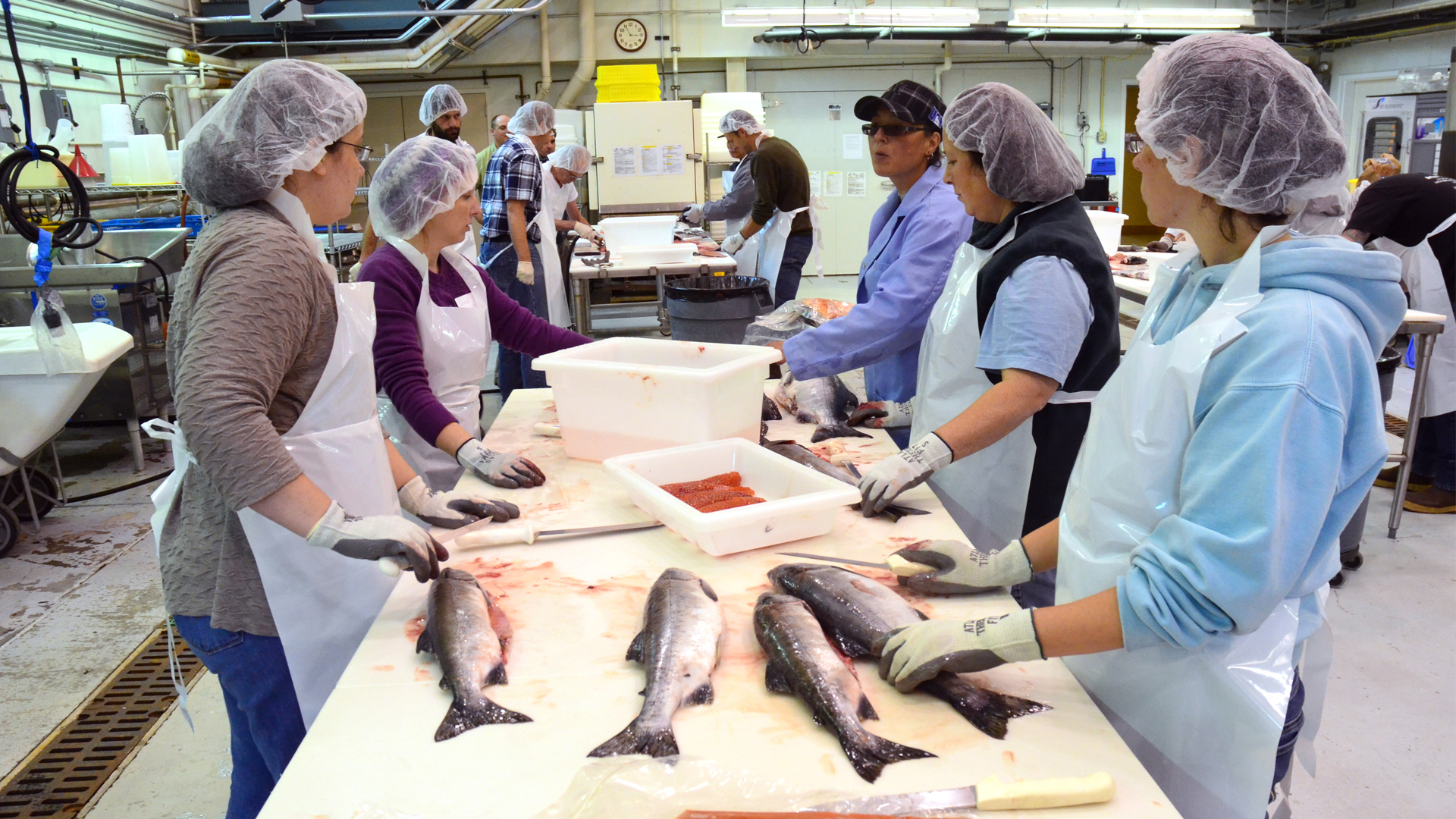 Commentary: Keeping Alaska’s seafood supply chain intact