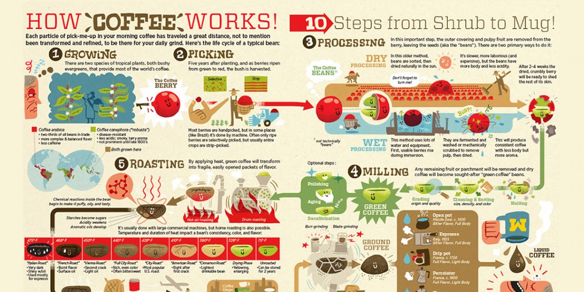 What Does The Coffee Supply Chain Look Like?