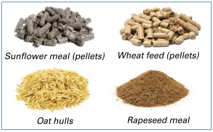 Managing fully beaked flocks | The Poultry Site