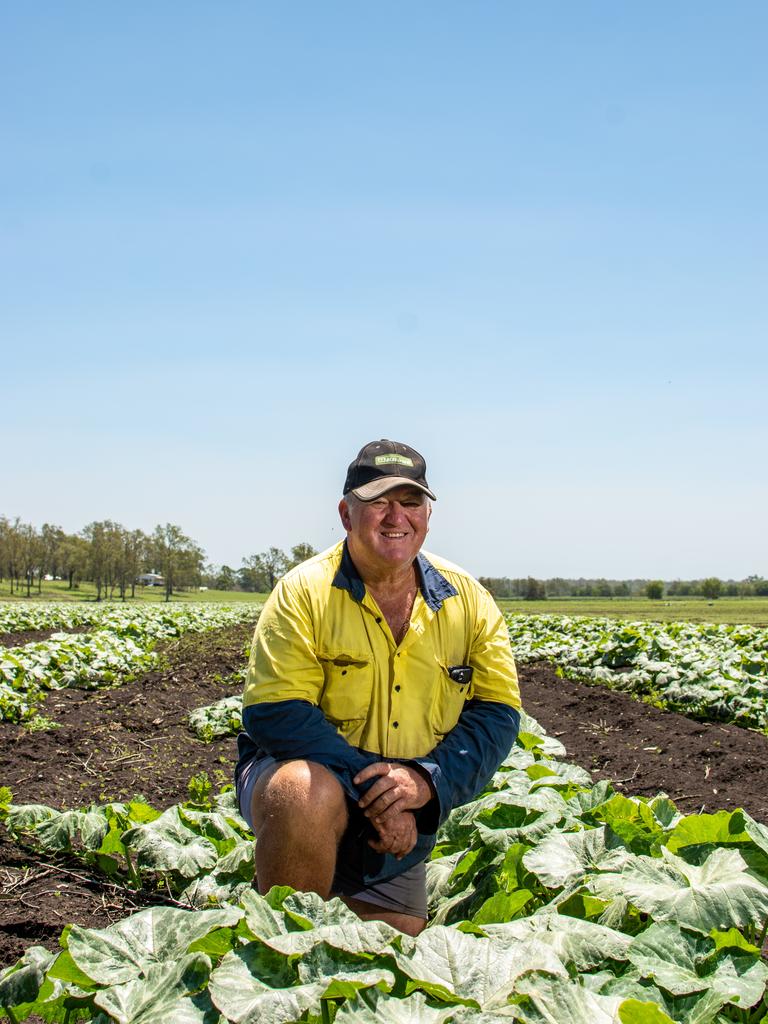 Why farmers are being forced to cut winter crops in half