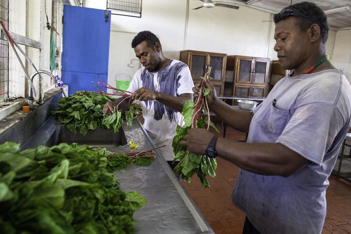 WHO Action Framework for Developing and Implementing Public Food ...